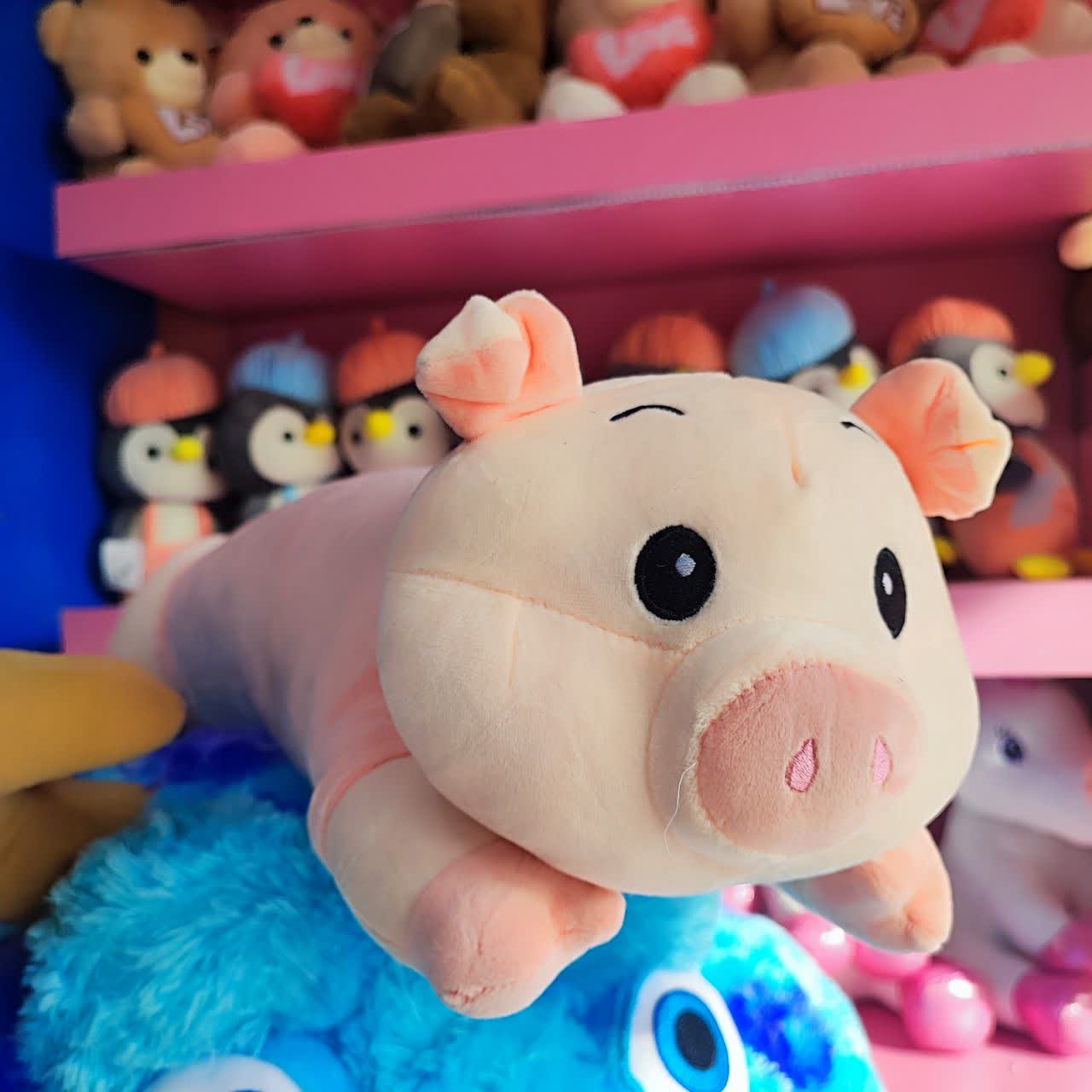 خوک خوابیده - فروشگاه نابغه کوچولو